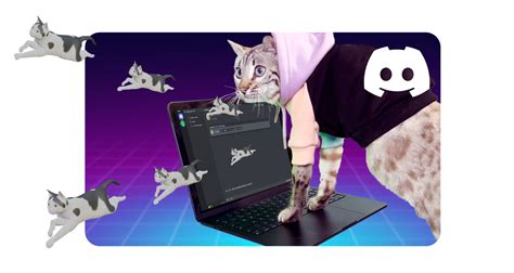 3d Animation Discord Bot Anything World