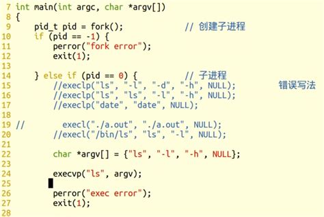 Linux学习第19、20天（父子进程） Csdn博客