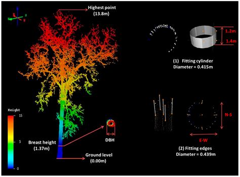 Terrestrial Laser Scanning As An Effective Tool To Retrieve Tree Level