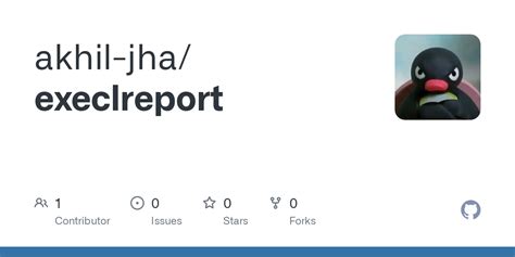 GitHub Akhil Jha Execlreport
