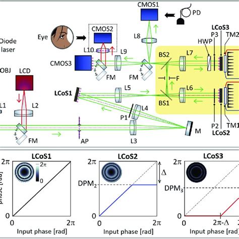 Characterization Of The Phase Modulation In The Lcos Devices A