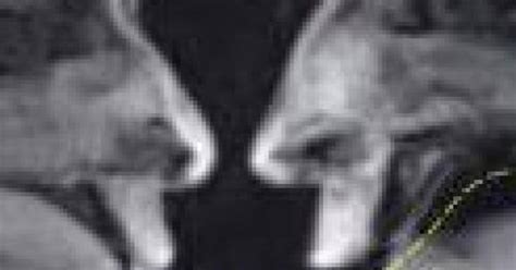 Így nézünk ki szex közben belülről Blikk