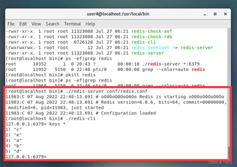 redis持久化方案rdb详解 redis的dump rdb csdn博客