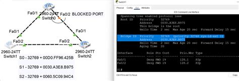 What Is Spanning Tree Protocol Stp And How It Works