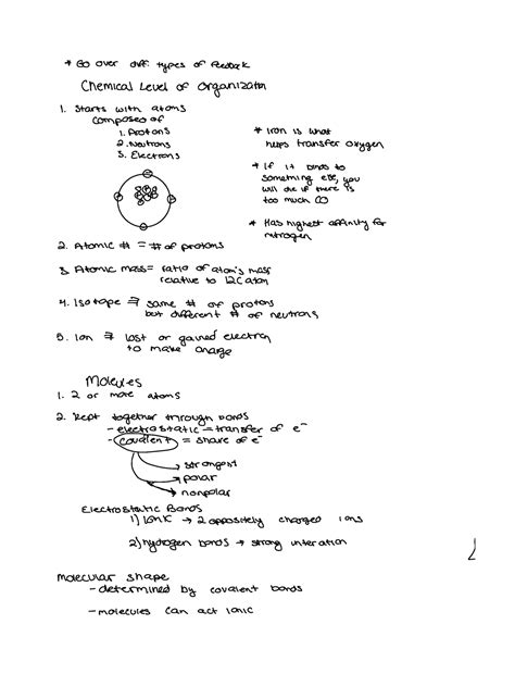 Jan Lecture Chemical Level Of Organization Types Of Organic Molecules And Protein Life