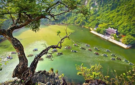 Un Día En Tràng An Pagoda Bích Động Bici Y Visita Familiar Getyourguide
