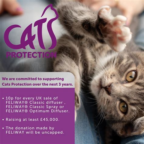 Feliway Classic Diffuser Cat Calming Diffuser