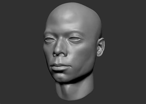 흑인 머리 2 3d 모델 59 Ztl Free3d