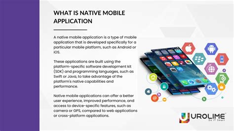 Ppt Maximizing Efficiency And User Experience With A Native Mobile