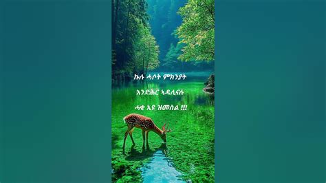 eritreanfilm habesha eritreanmovie eritreanmusic eritrea eritrean eritreancomedy