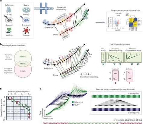 Gene Level Alignment Of Single Cell Trajectories Nature Methods Dinithi Sumanaweera 10