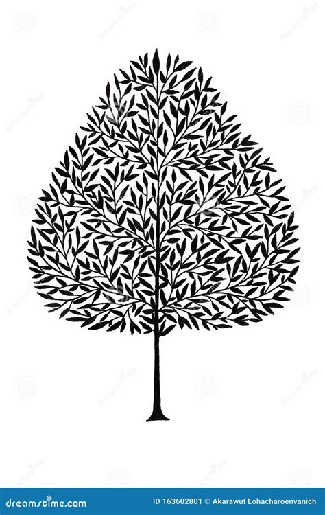 Simple Tree Drawing Using Ink Pen In Silhouette Style For Icon And Graphic Design Element