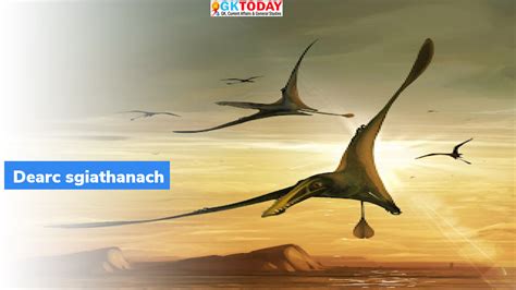 Dearc Sgiathanach New Species Of Pterosaur Gktoday