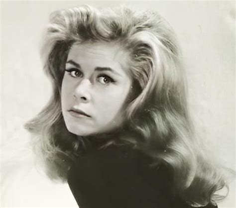 Pin By Jos Lozada On Actrices Bonitas Bewitched Elizabeth Montgomery