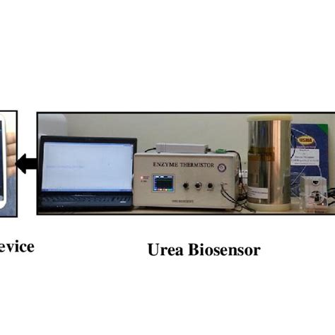 Pictorial Data Of Real Sample Analysis For I Blank Milk And Ii Download Scientific Diagram
