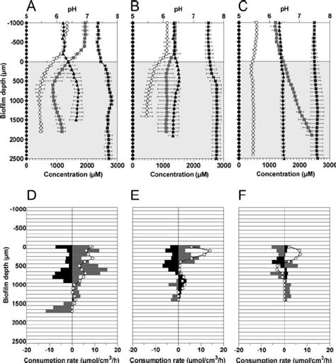 Steady State Concentration Profiles Of O 2 Closed Circles Nh 4 ϩ Download Scientific Diagram