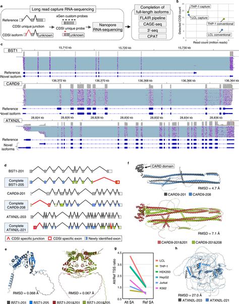 Long Read Capture Rna Sequencing For Cds Incomplete Isoforms A Overview