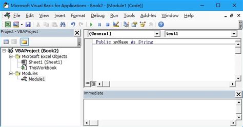 VBA Declare Public Variable Access Excel Tips