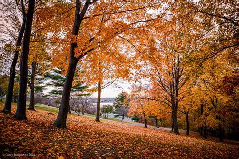 Portland Daily Photo By Corey Templeton