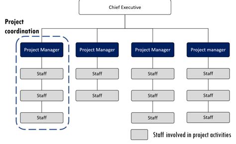 Understanding Organizational Structures For Pmp® Exam Pm Drill