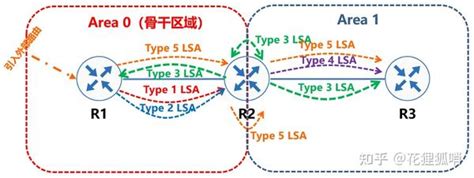 Ospf区域类型 知乎