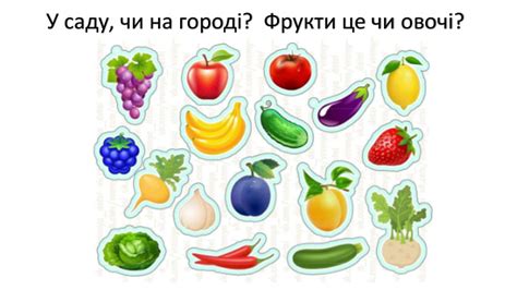 Презентація Малюємо фрукти у вазі