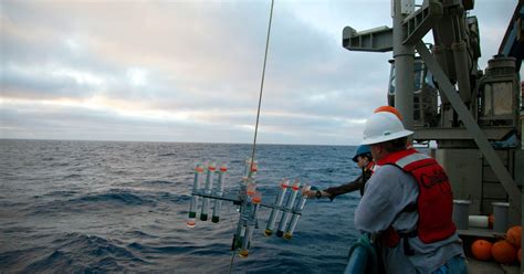 Fsu Researchers Analyze Carbon Sequestration In California Current Ecosystem Florida State