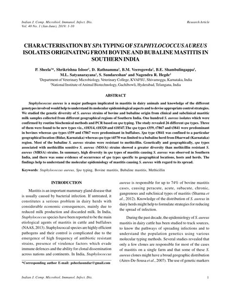 Pdf Characterisation By Spa Typing Of Staphylococcus Aureus Isolates Originating From Bovine
