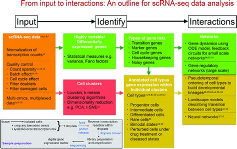Overview Of Single Cell Genomic Data Generation And Evaluation Showing Download Scientific