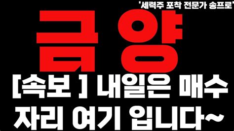 금양 내일은 매수 자리 여기입니다 6700억 수주 테슬라 추가 계약 실사 준비 2차전지배터리테슬라4695금양주식엔솔양산투자2차현대차공급양극제