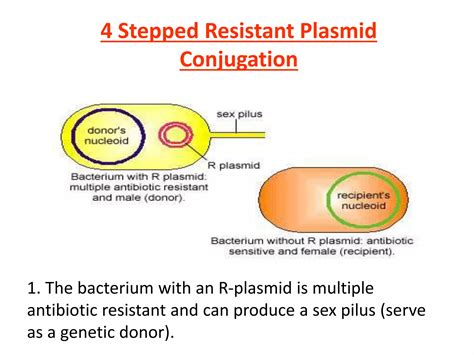 Bacterial Recombination Plasmids And Episomes Pptx
