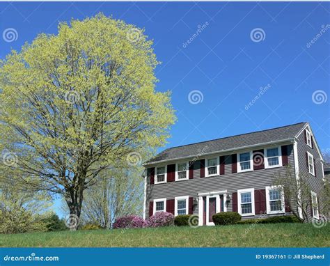 Spring House With Budding Maple Tree Stock Image Image Of Shutters Grass 19367161