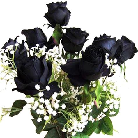 Natural Black Rose Turkey