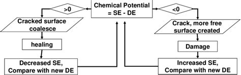 3 Energy Equilibrium Flow Chart Download Scientific Diagram