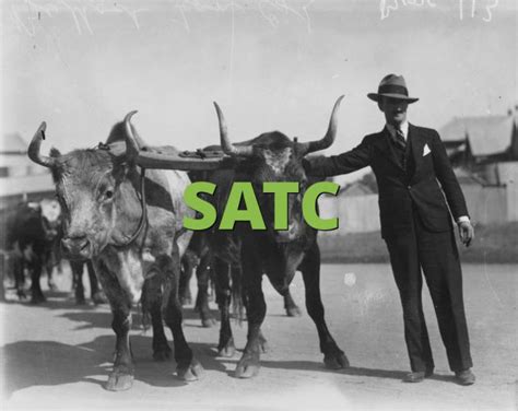 Twink What Does Twink Mean Slang Org