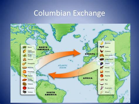 Ppt Pre Columbian Societies European Exploration And Transatlantic