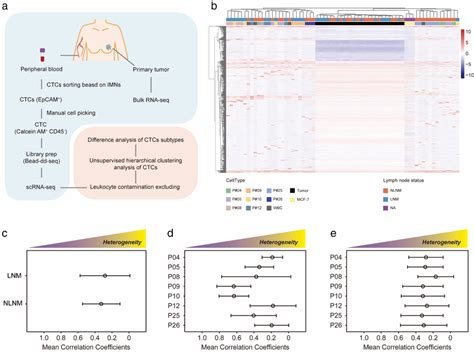 Scrna‐seq Of Breast Ctcs A An Overview Of The Workflow For Single