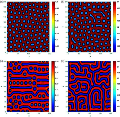Snapshots Of Stationary Patterns Of Prey Species In The Model System Download Scientific