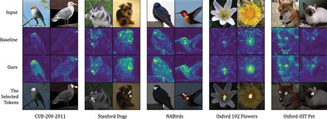 fine grained visual classification via internal ensemble learning