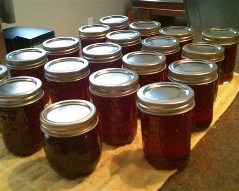Tuna Prickly Pear Cactus Fruit Jelly Recipe Easy Gf Recipes