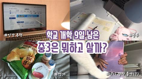 슬힝 학교 개학 9일남은 중3은 뭐하고 살까 사실상 먹고공부하는 브이로그 냥이들🐱깜짝 출연 첫 영상 Youtube
