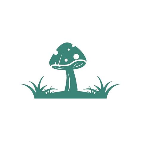 30 Lepiota Illustrations Stock Illustrations Royalty Free Vector