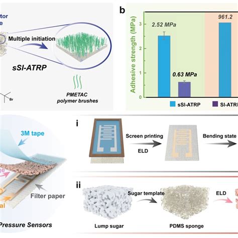 Fabrication Of 3d Cu Sponge Prepared By Ssi Atrp And Pressure Sensor Download Scientific