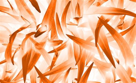 Premium Photo Easy Orange Abstract Creative Background Design