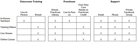 Fsm Training Overview Frequency Specific Microcurrent