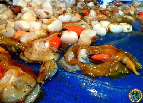 Around Bicol “baluko” Pen Shell At The Sorsogon City Facebook