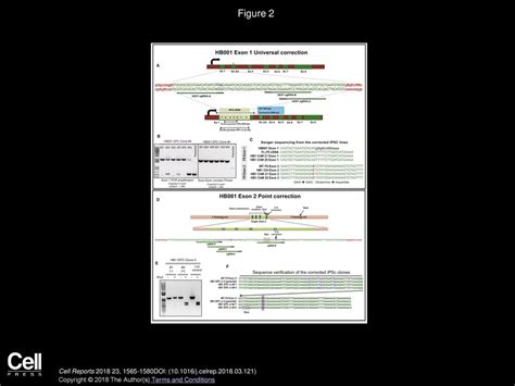 volume 23 issue 5 pages may 2018 ppt download