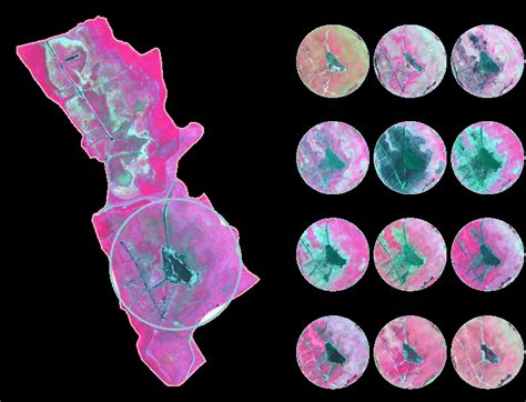 9 Compositions Colorées Fausses Couleurs R Pir V Rouge B Download Scientific Diagram