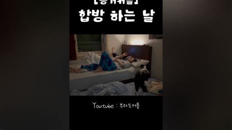 동거커플 합방 하는 날 네이버 Tv