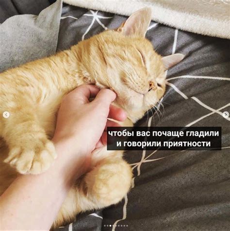 С 8 марта Пикабу С 8 марта Пикабу